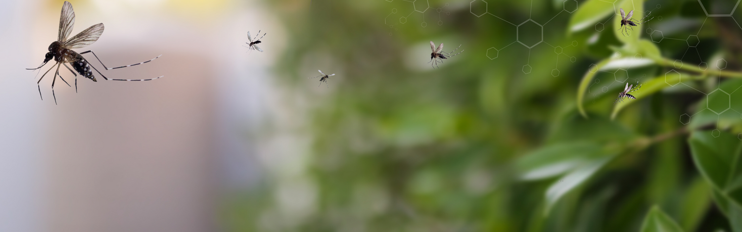 Ecovar - The Leading Supplier of Pest Control Products in UAE