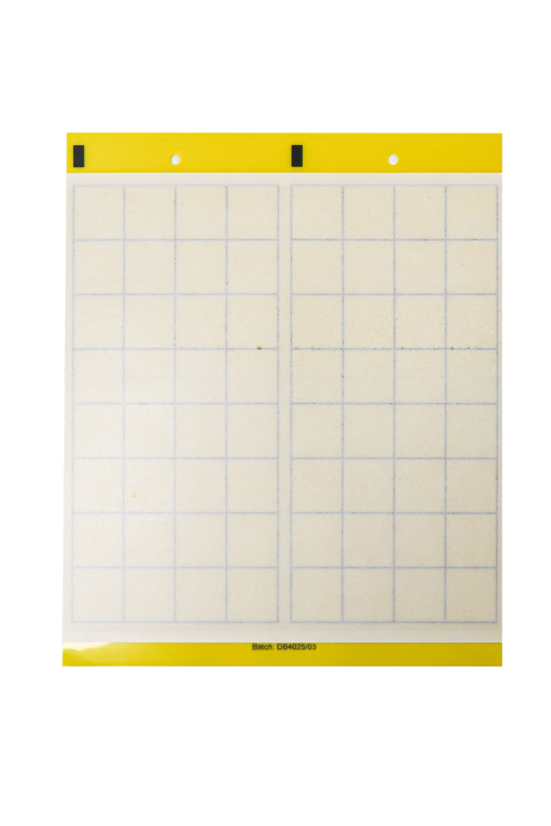 Flyline Yellow Glue Fly sheet – Ecovar