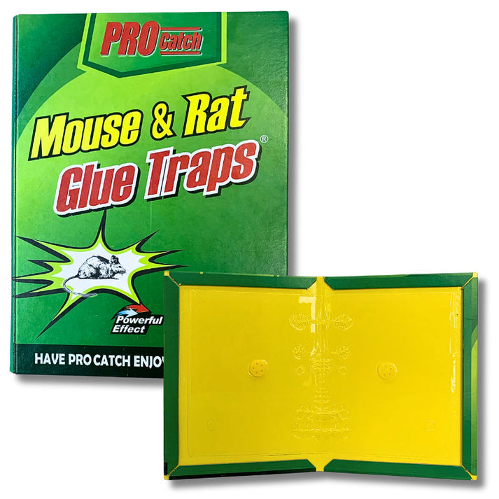 Pro Catch Cardboard Mouse & Rat Glue Trap – Ecovar